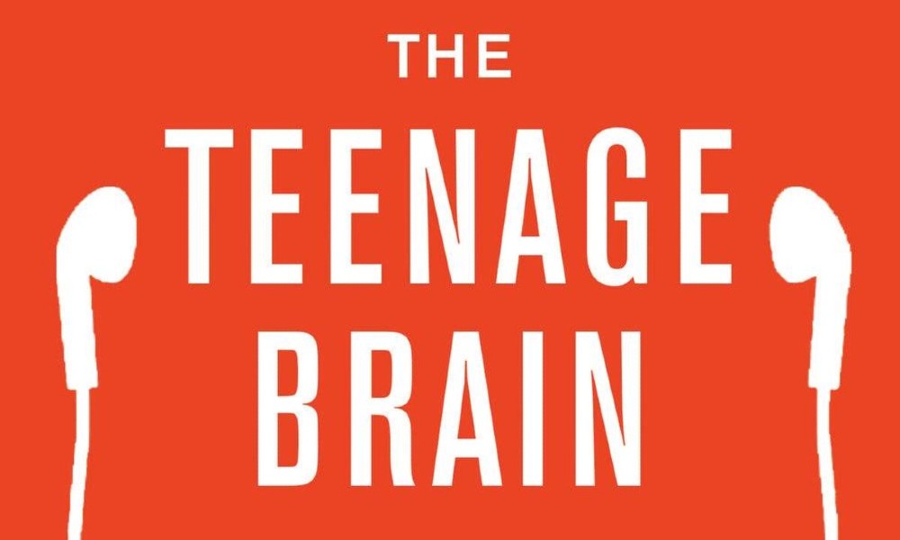 The Teenage Brain – Under Construction – Mr. Zerwas